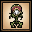 文件:Snaptooth Seedling Settings Icon.png - 饥荒维基 - 灰机wiki - 北京嘉闻杰诺网络科技有限公司