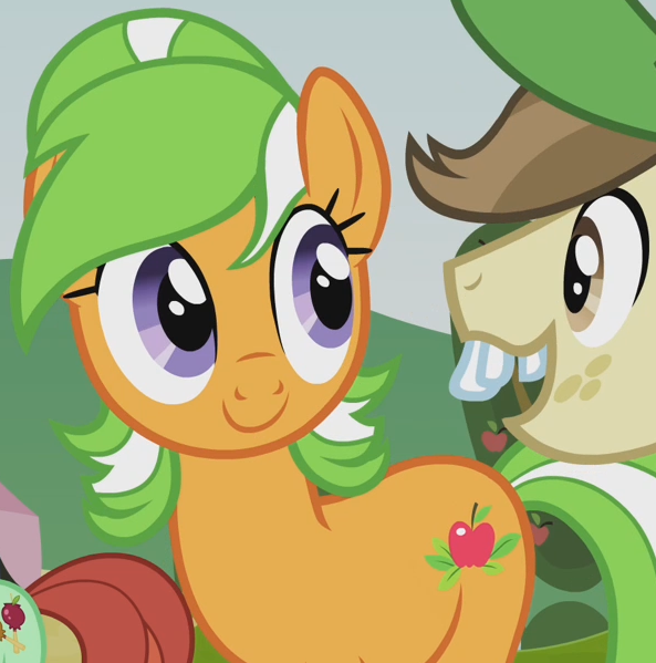 Apple Leaves - 小马中文维基 | MLP中文维基 | 我的小马驹：友谊就是魔法中文维基 - 灰机wiki - 北京嘉闻杰诺网络 ...