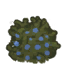 野山莓 - Rimworld中文维基 | 边缘世界 | 环世界攻略资料站 - 灰机wiki - 北京嘉闻杰诺网络科技有限公司