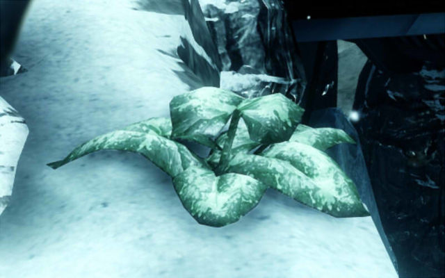 文件:Frostleaf-0.jpg - 非官方WARFRAME中文维基 | 星际战甲 | 戰甲神兵 - 灰机wiki - 北京嘉闻杰诺网络 ...
