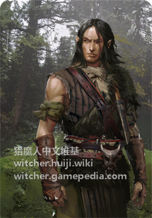 亚伊文(昆特牌) - 猎魔人中文维基 | 獵魔士中文維基 | 巫师狩魔猎人攻略资料站 | The Witcher | Wiedźmin - 灰 ...